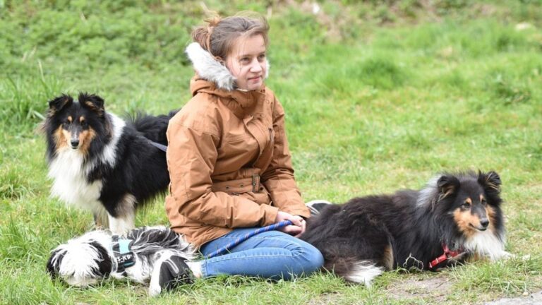An Introduction To Dog Breeds: History, Temperament, And More - Advice ...