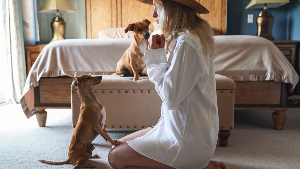 Understanding Dog Behavior: Getting To Know Your Dog - Advice For Dogs