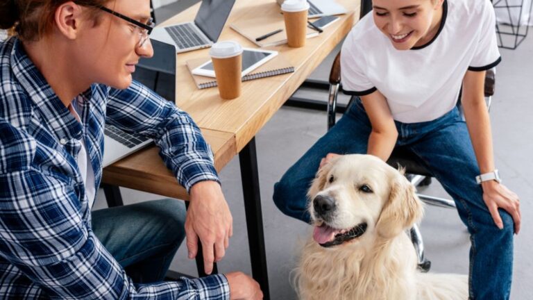 14 Dog-Friendly Jobs That Let You Take Your Furry Pal To Work - Advice ...